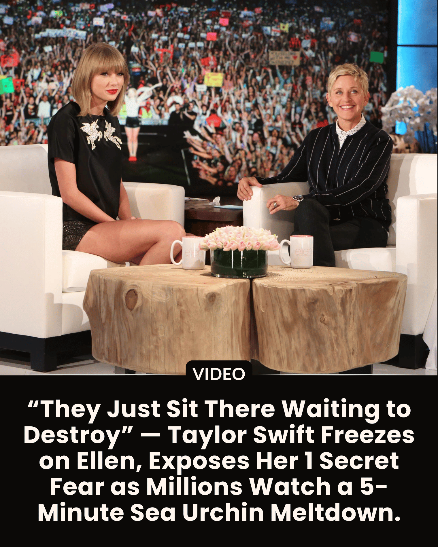 “They Just Sit There Waiting to Destroy” — Taylor Swift Freezes on ...